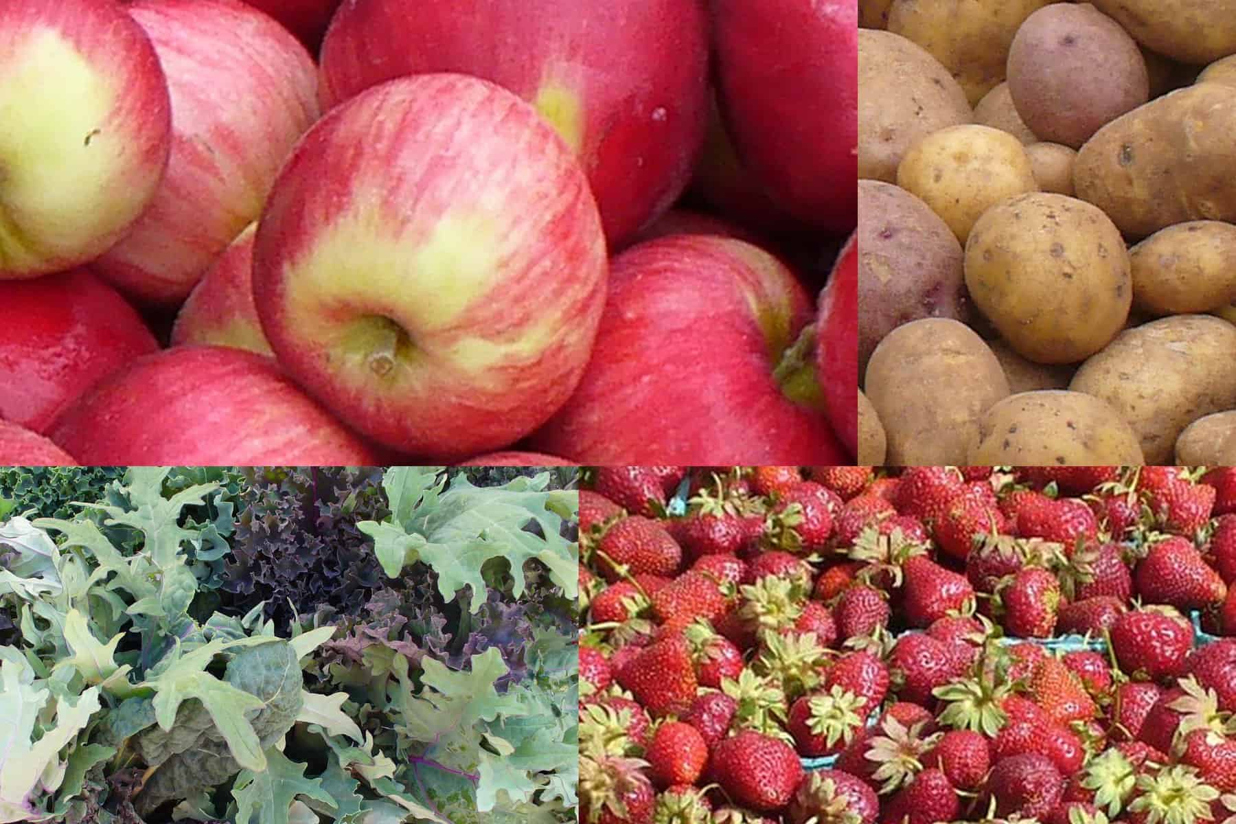 Farmers markets in the Puget Sound region (greaterseattleonthecheap.com)