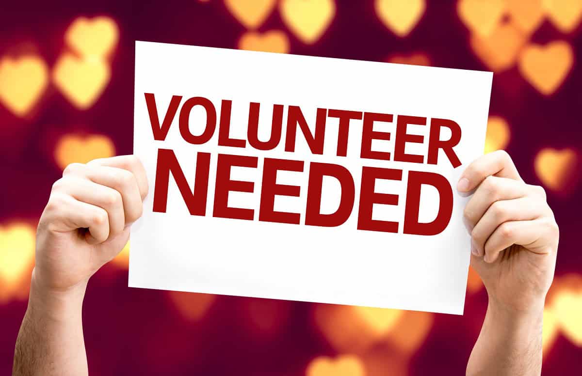 Fun Ways To Volunteer Around Puget Sound greaterseattleonthecheap fun-ways-to-volunteer-around-puget-sound-greaterseattleonthecheap