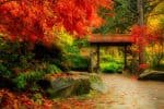 13 best nature walks to see Seattle fall color ...
