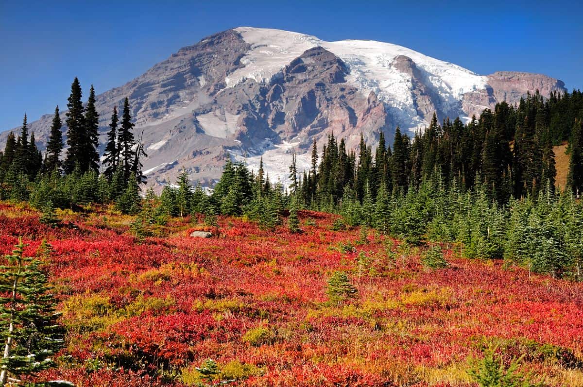 Getaway: 11 scenic drives for Washington State fall color ...